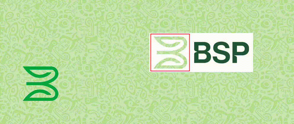 BSP Pay